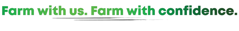 Maua Mazuri | Tissue Culture