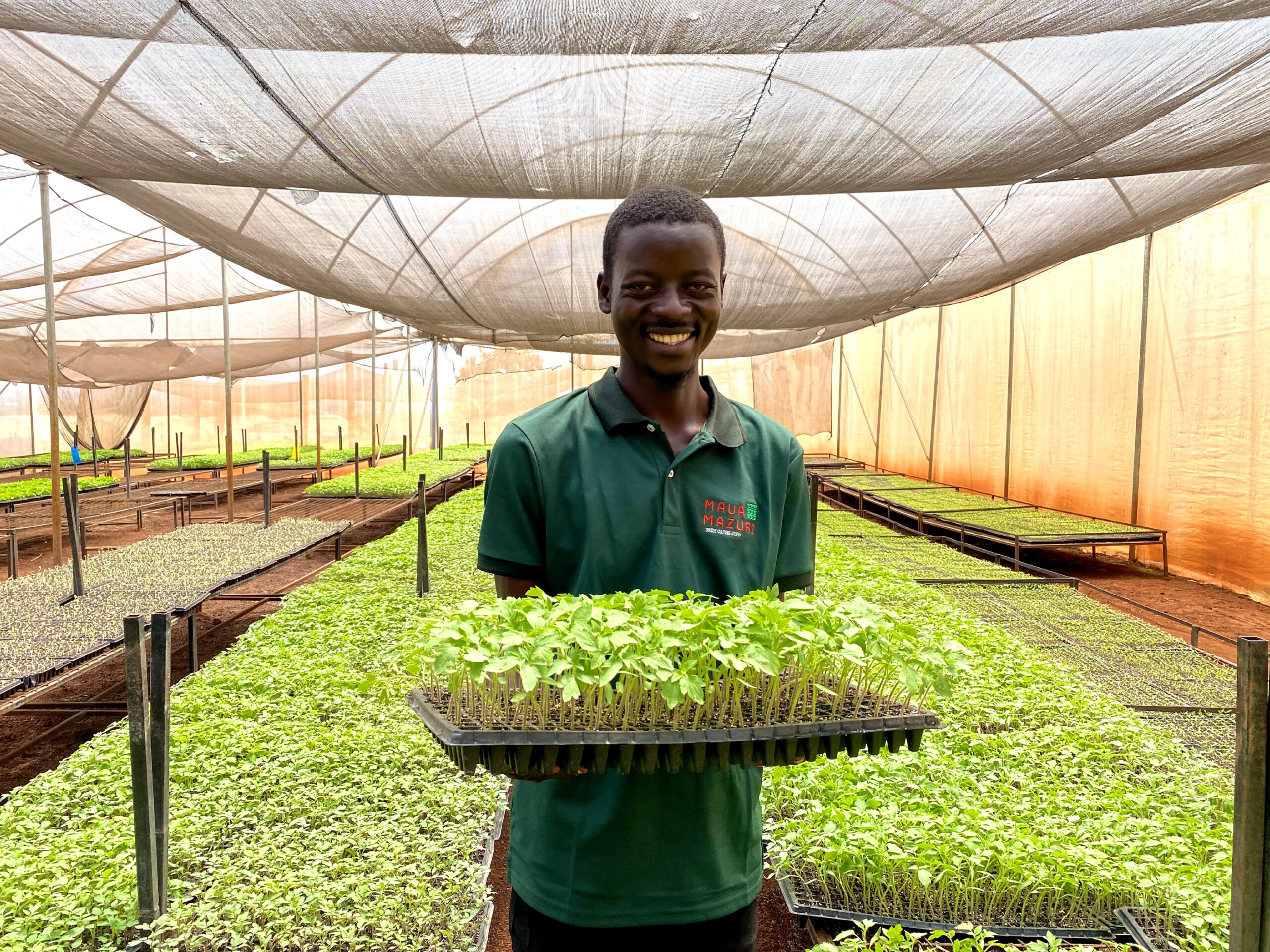 Maua Mazuri | Tissue Culture